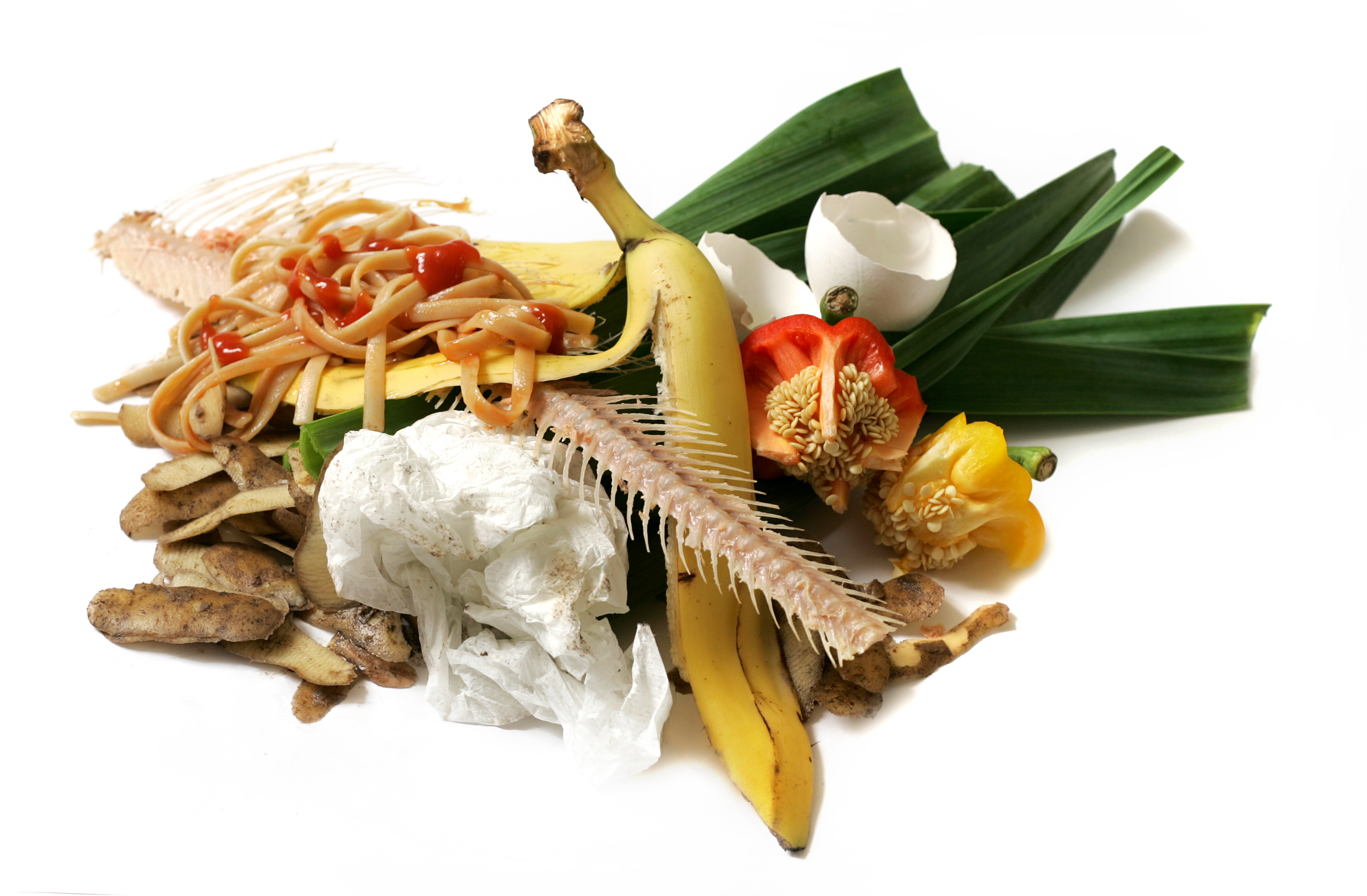 Insamling av matavfall - AB Väsbyhem